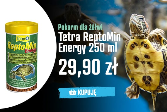 Sklep zoologiczny Siedlce - artykuły dla zwierząt na Spolka-ZOO.com